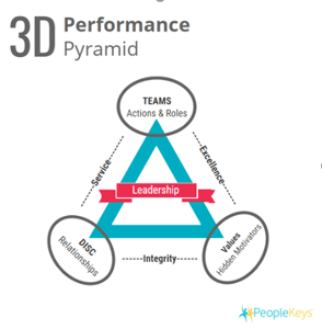 How to Use the 3D DISC Personality Profile for Better Hiring Results