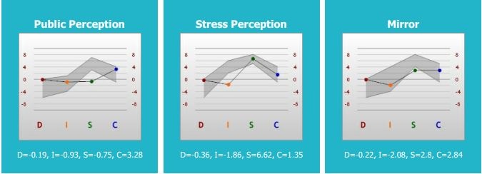 How to Use the 3D DISC Personality Profile for Better Hiring Results