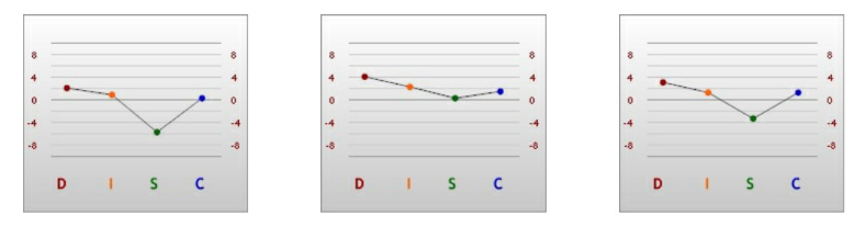 Navigating Team Dynamics with DISC